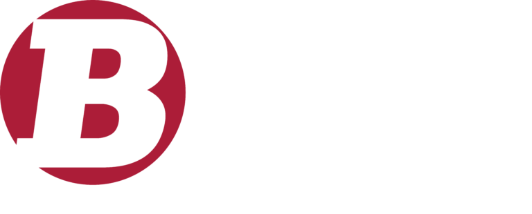Home - Badiee Development
